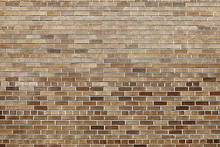 Olive Brick Wall Background Free Stock Photo - Public Domain Pictures