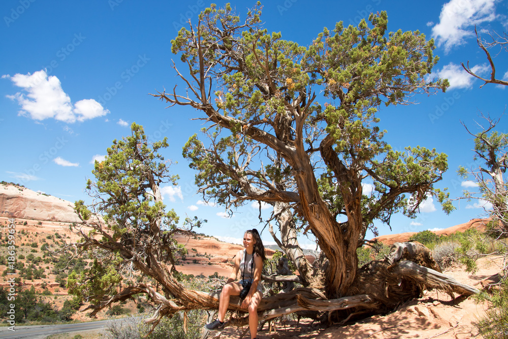Arches national park panorama point in Utah Moab park avenue vieuwpoint ...