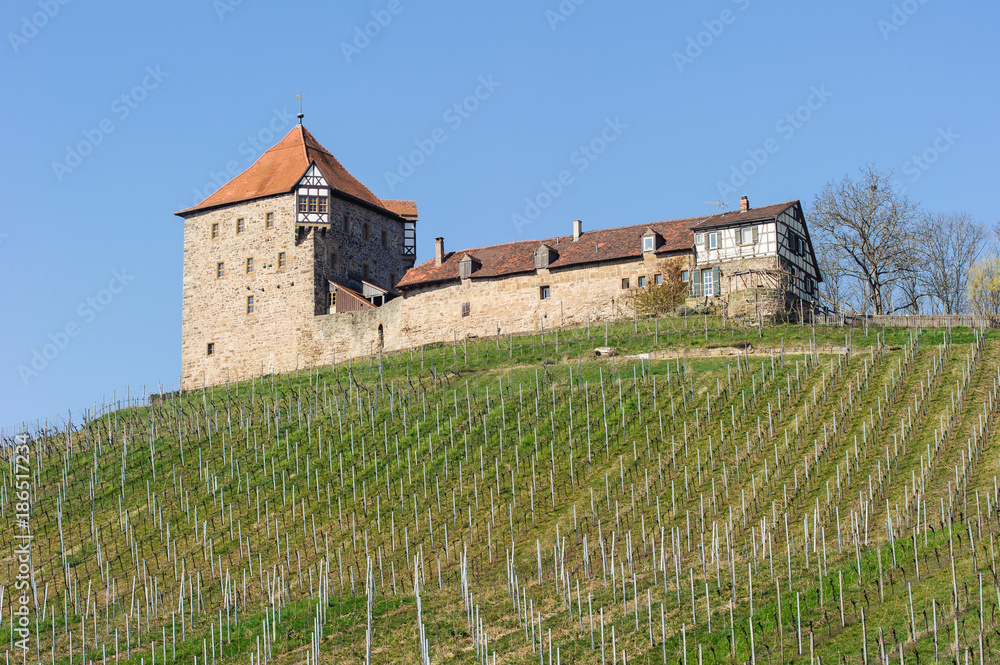 Stock-Foto „Burg Wildeck bei Abstatt“ | Adobe Stock