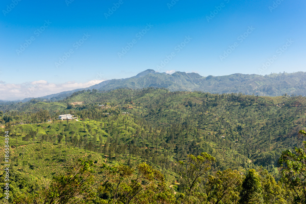 The Namunukula mountain seen from the little Adams peak, a famous ...