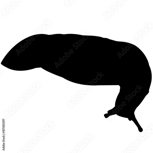 Sea slug Silhouette Vector Graphics Stock Vector | Adobe Stock