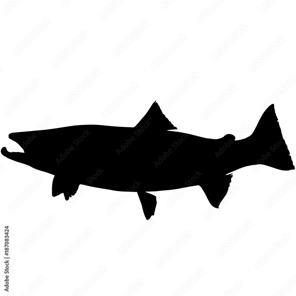 Steelhead trout Silhouette Vector Graphics Stock Vector | Adobe Stock