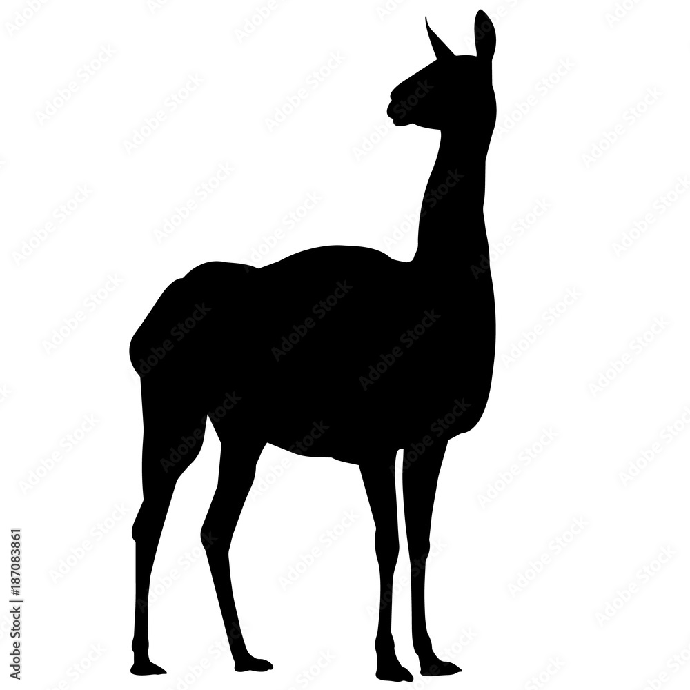 Vicuna Silhouette Vector Graphics Stock Vector | Adobe Stock