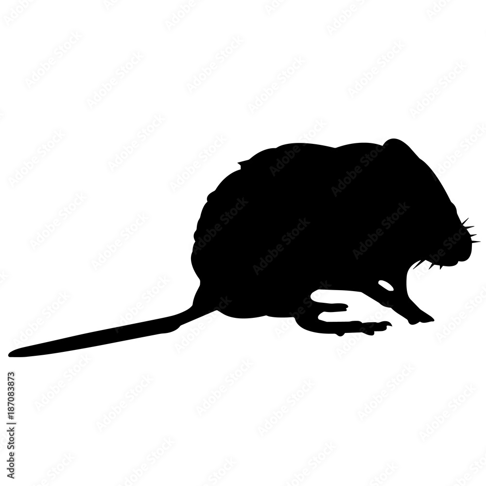 Vole Silhouette Vector Graphics Stock Vector | Adobe Stock