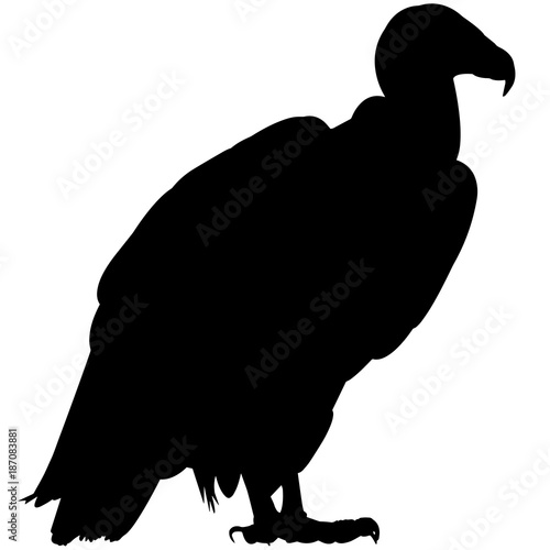 Vulture Silhouette Vector Graphics Stock Vector | Adobe Stock
