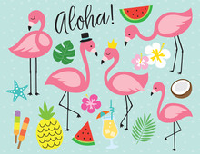 Flamingo Illustration Clipart Free Stock Photo - Public Domain Pictures
