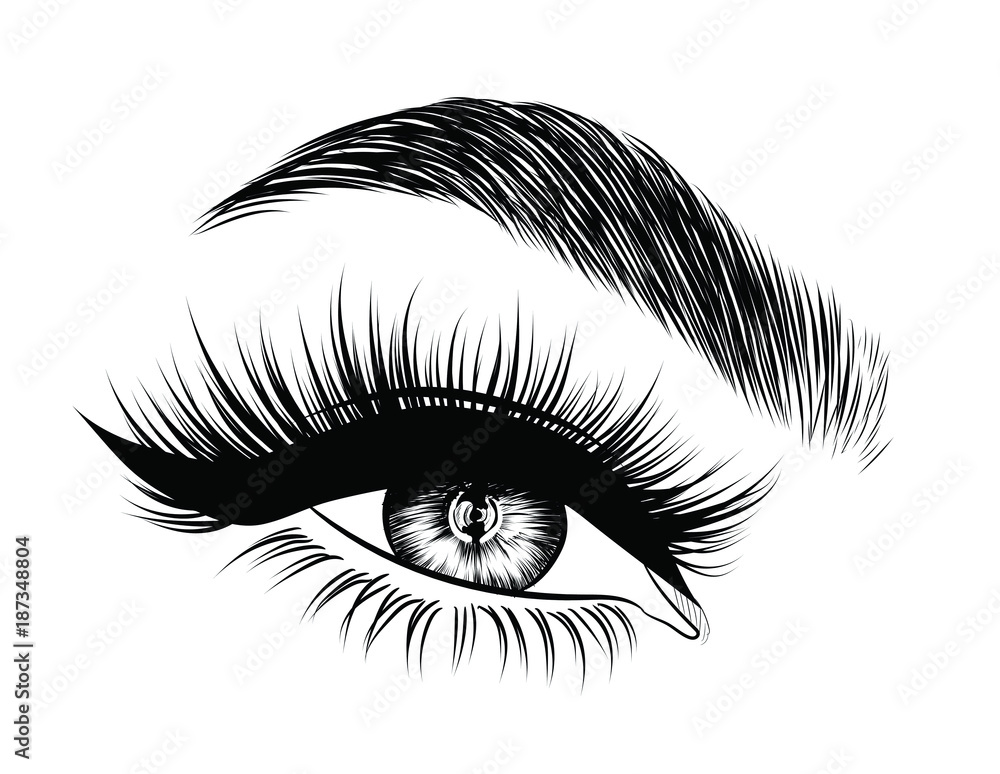 Hand-drawn woman's sexy luxurious eye with perfectly shaped eyebrows and full lashes. Idea for ...