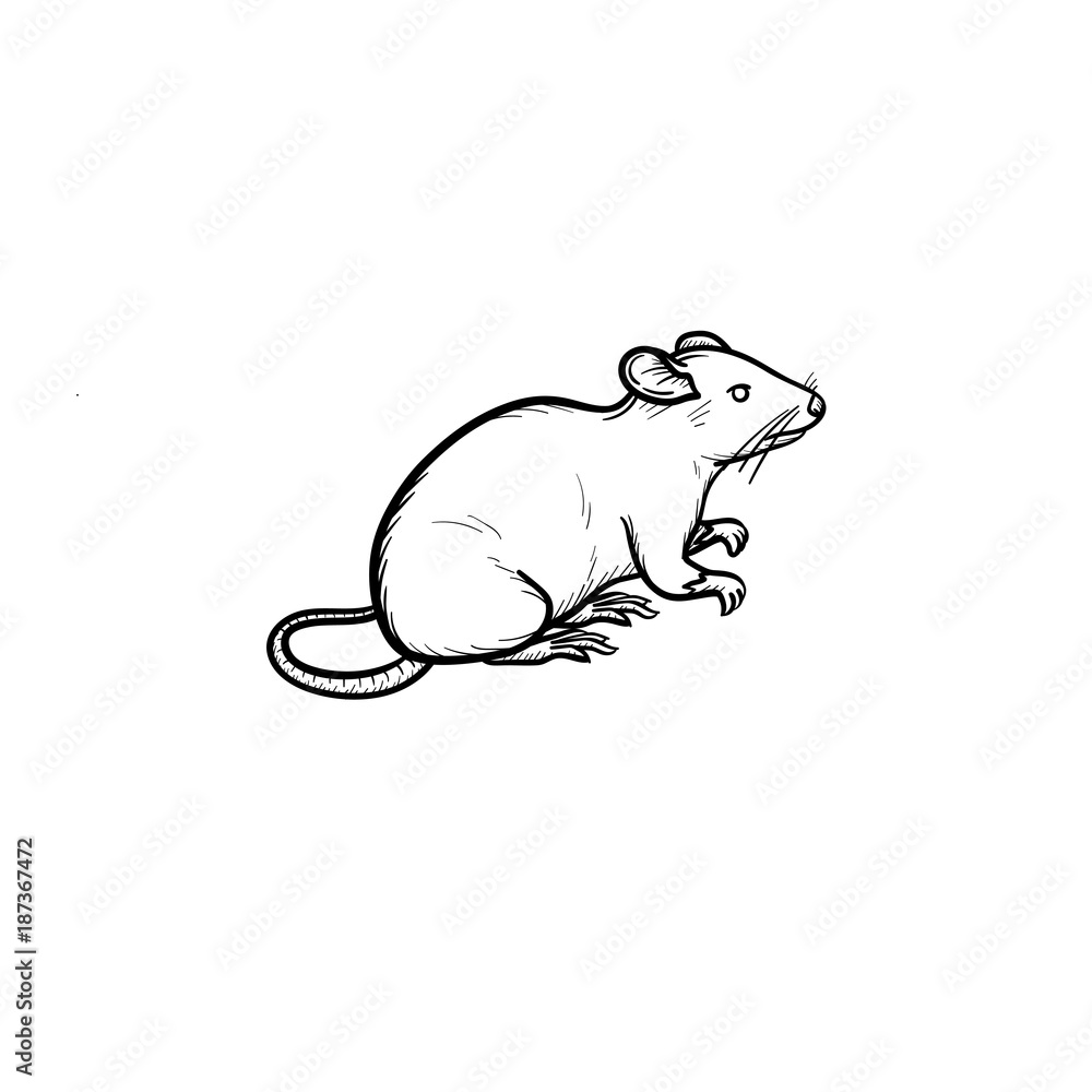 Vector hand drawn Lab rat outline doodle icon. Lab rat sketch ...