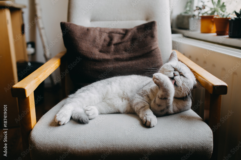 slow morning Stock Photo | Adobe Stock