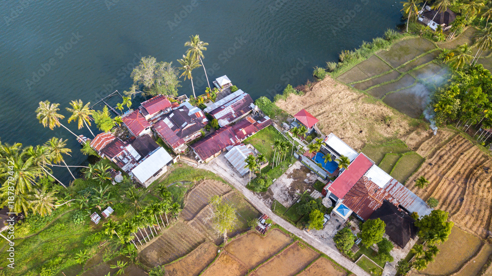 Rice field parts divided to plots by water channels and pathways,aerial ...