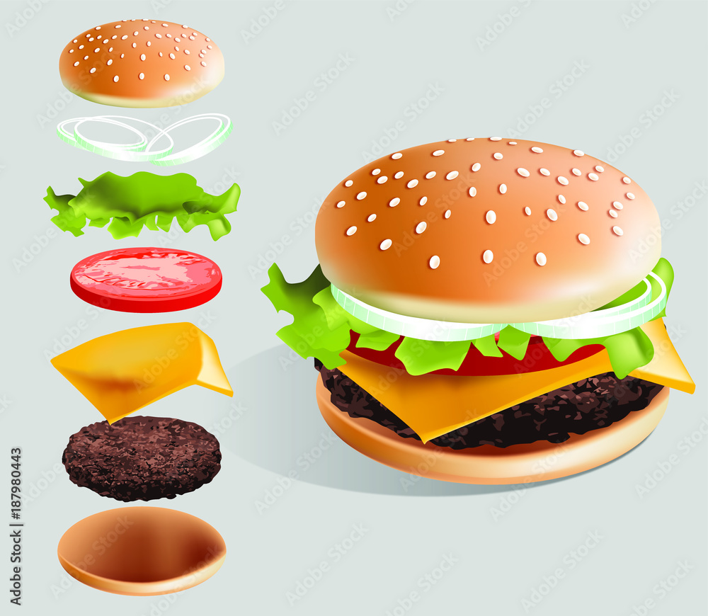 Hamburger and it's parts vector illustration with white background ...