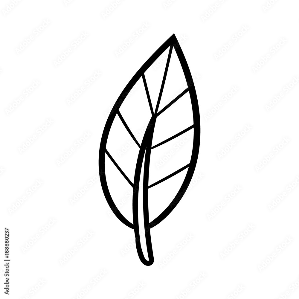 Cartoon Leaf Black Line White Background Stock Vector | Adobe Stock