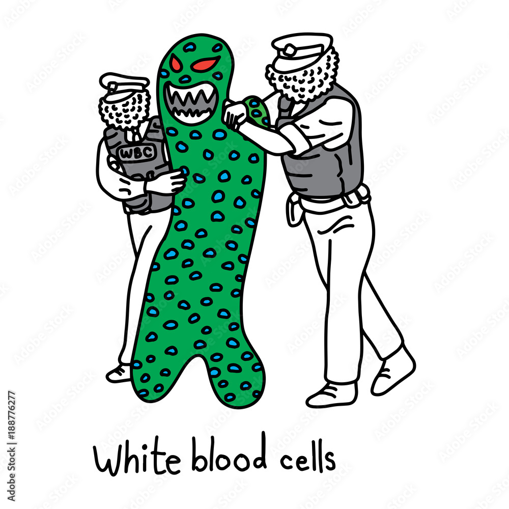 metaphor function of white blood cell to protect the body against both ...