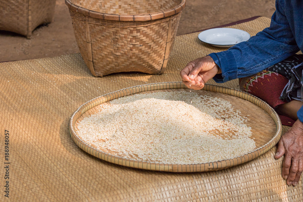 Farmer asian woman picking up and select good rice grains from rice in ...