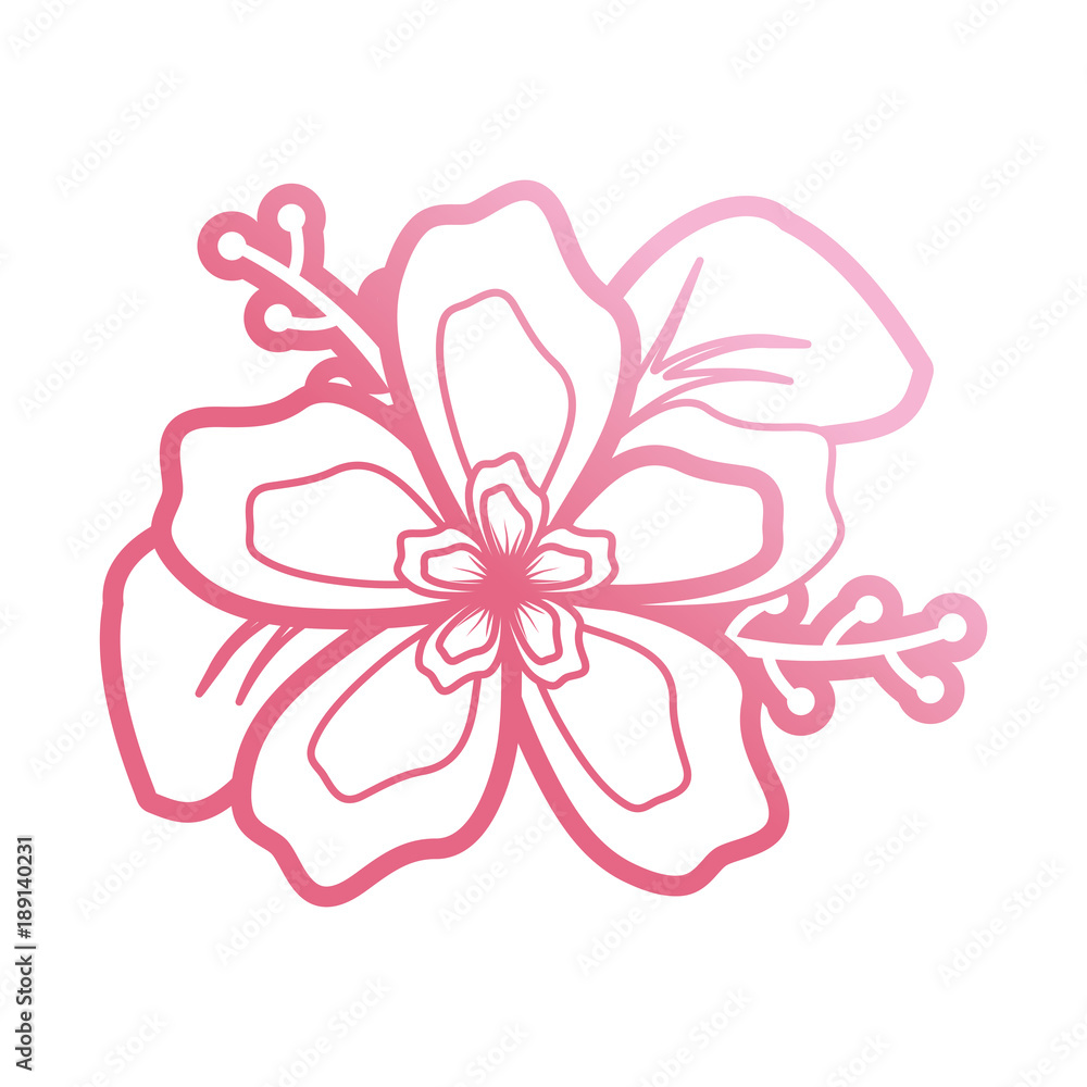 pink flower design vector illustration Stock Vector | Adobe Stock