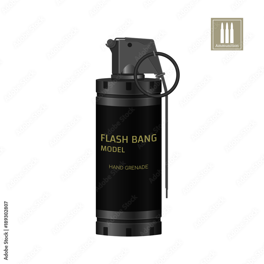 Hand flash grenade of special forces. Detailed realistic image of anti ...