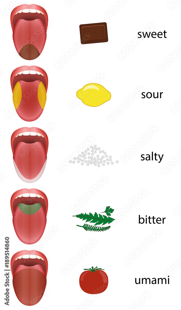 Tongue map with taste zones - sweet, sour, salty, bitter and umami ...