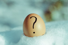 Easter Egg Question Mark Free Stock Photo - Public Domain Pictures