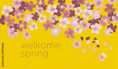 Yellow Flower Headers | Best Flower Site