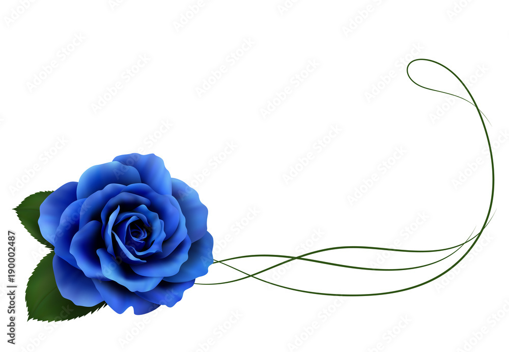 Realistic blue rose, border. Stock Vector | Adobe Stock