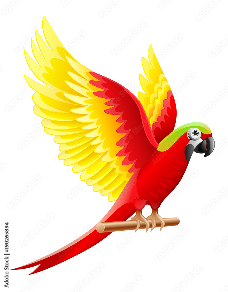 Budgerigar parrot Ara, macaw waving with wings coloured feathers. Stock ...