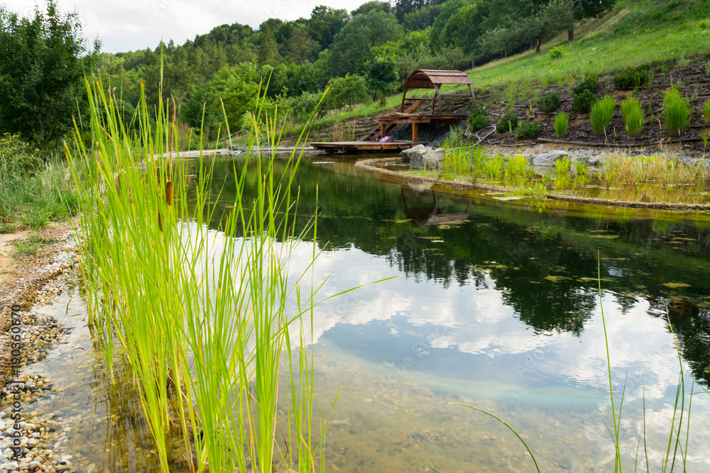 Natural swimming pond or natural swimming pool - NSP - purifying water ...