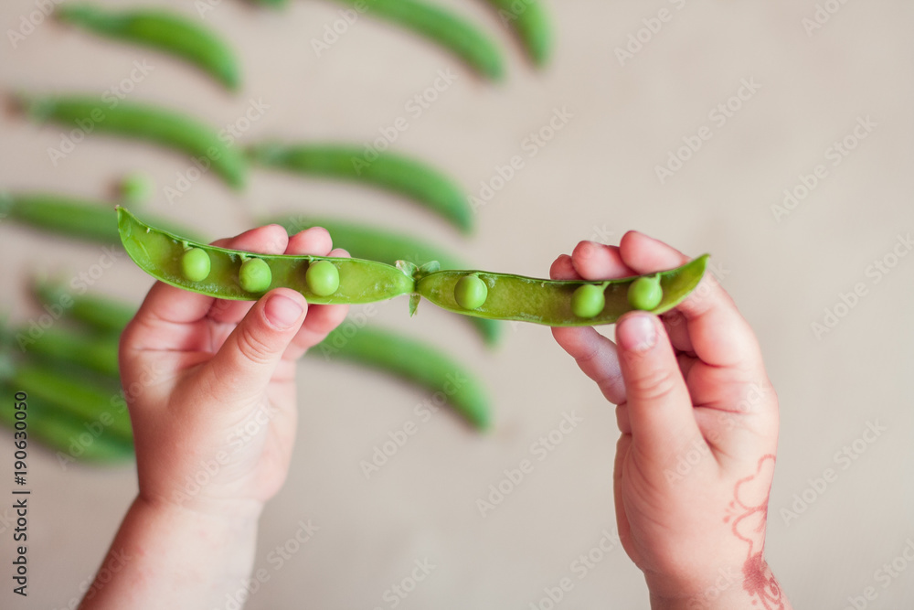 Open pea pod in child's hand Stock Photo | Adobe Stock