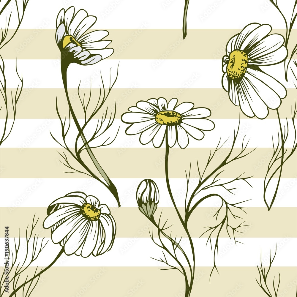 Chamomile flower vector seamlees pattern Stock Vector | Adobe Stock