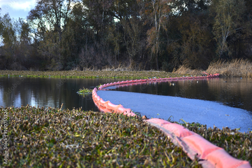 Stock-Foto „pequeña persa sobre el rio para retener el crecimiento de ...