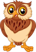Owl Cartoon Free Stock Photo - Public Domain Pictures