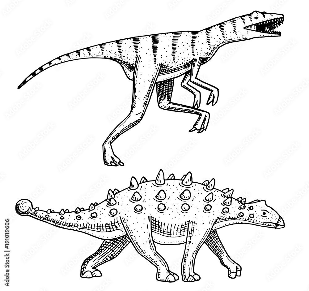 Dinosaur Ankylosaurus, Talarurus, Velociraptor, Euoplocephalus ...