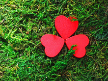 Red Shamrock Free Stock Photo - Public Domain Pictures