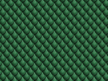 Dragon Pattern Free Stock Photo - Public Domain Pictures