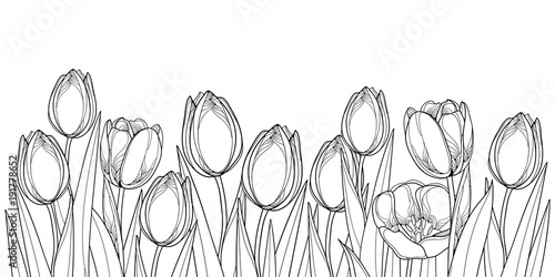 Horizontal Coloring Pages Coloring Pages