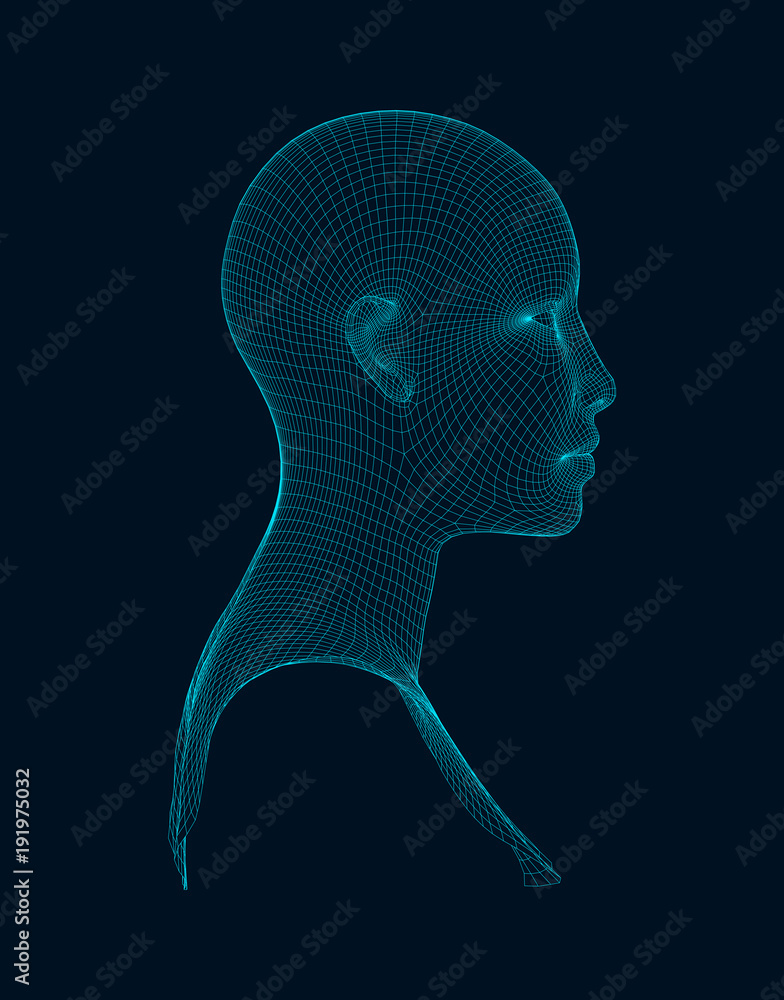3d head wireframe vector. Drawing of wireframe head 3d model. Vector ...