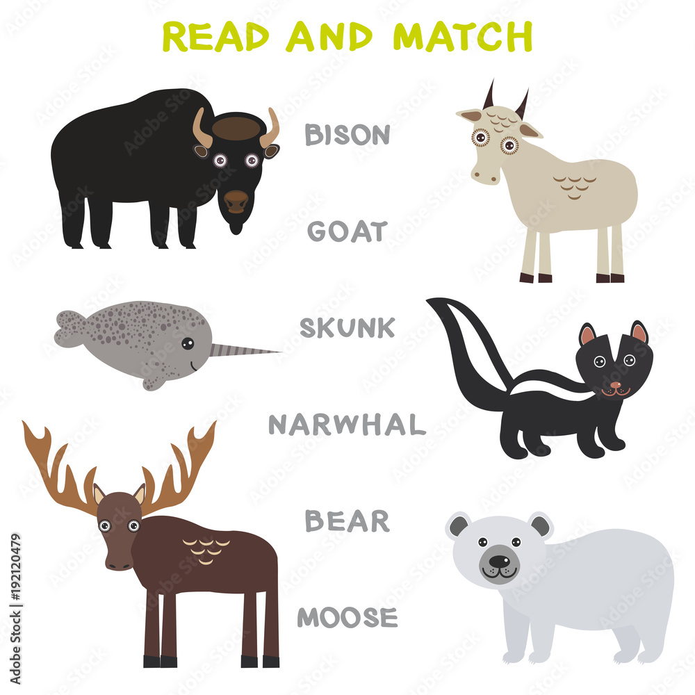 Kids words learning game worksheet read and match. Funny animals Bison Goat Skunk Narwhal Bear ...