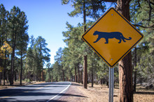 Mountain Lion Crossing Sign Free Stock Photo - Public Domain Pictures