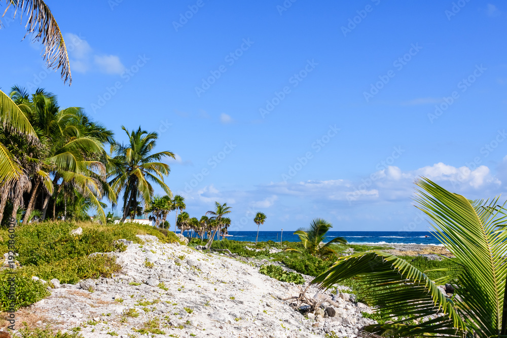 Beautiful tropical beach with palm trees and big blue sky. Stock Photo ...