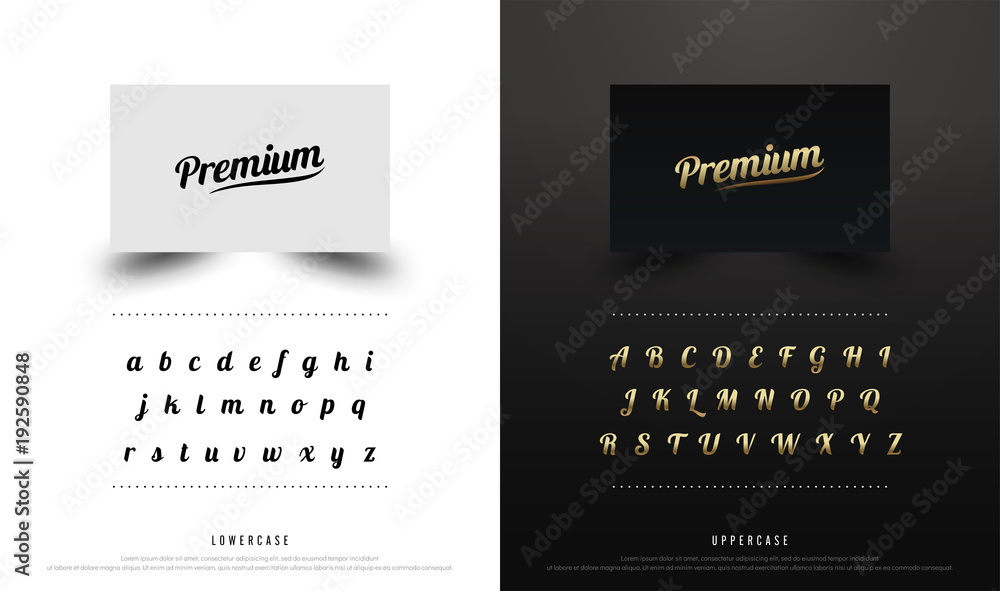 Vektor Calligraphic alphabet uppercase and lowercase font. Typography ...