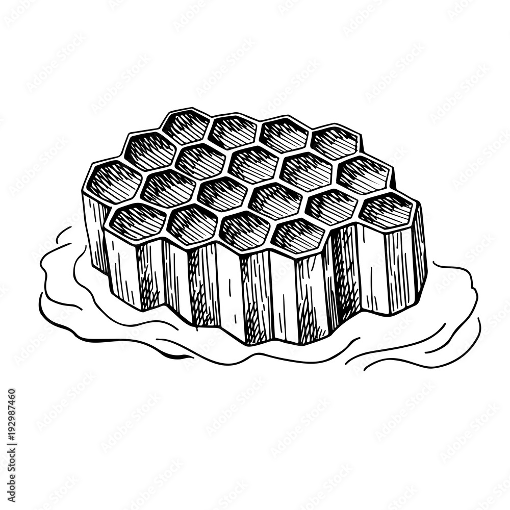 Honeycomb vector drawing. Hand drawn honey illustration. Stock Vector ...