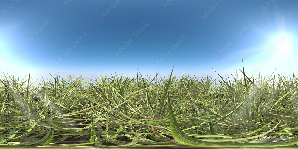green grass and sky HDRI map Stock Illustration | Adobe Stock