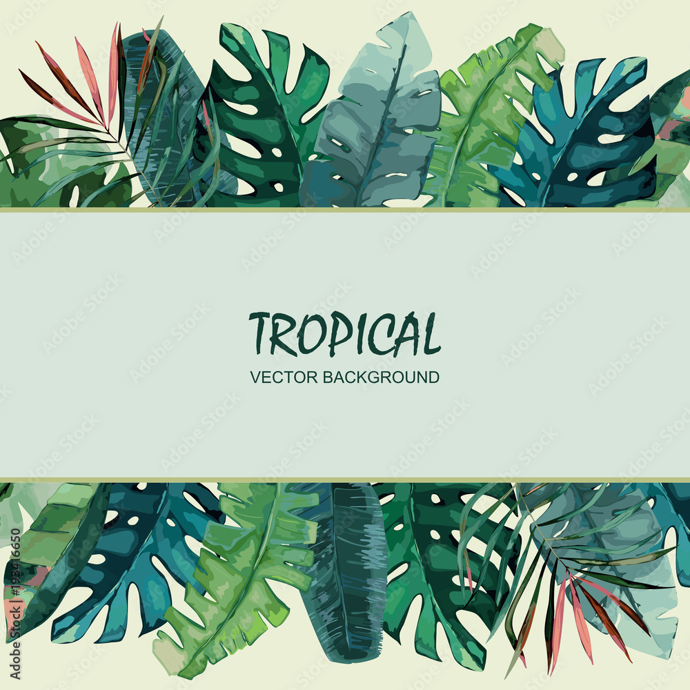 Exotic tropical palm tree. Frame border background. Summer vector ...