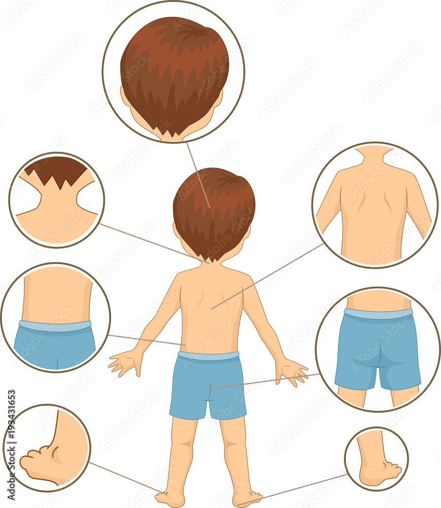 Kid Boy Body Parts Back Illustration Stock Vector | Adobe Stock