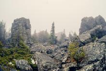Rocky Ground In Woods Free Stock Photo - Public Domain Pictures