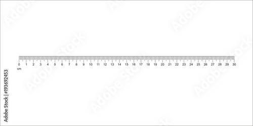 Ruler 30 cm. Measuring tool. Ruler Graduation. Ruler grid 30 cm. Size ...