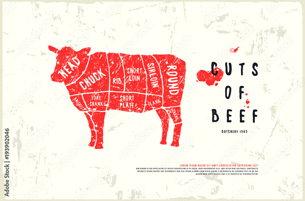 Stock vector beef cuts diagram Stock Vector | Adobe Stock