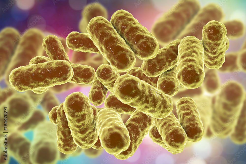 Illustration Stock Enterobacter bacteria, gram-negative rod-shaped ...