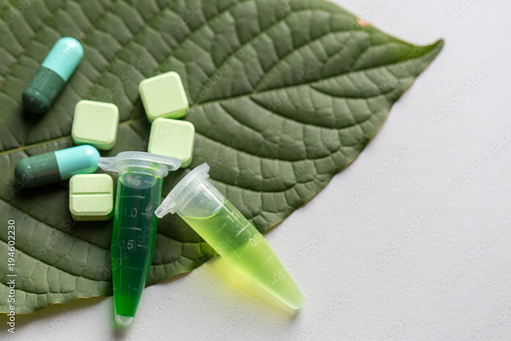 Science Research leaves of Mitragyna speciosa (kratom) and Chemical analysis in Lab. Stock Photo ...