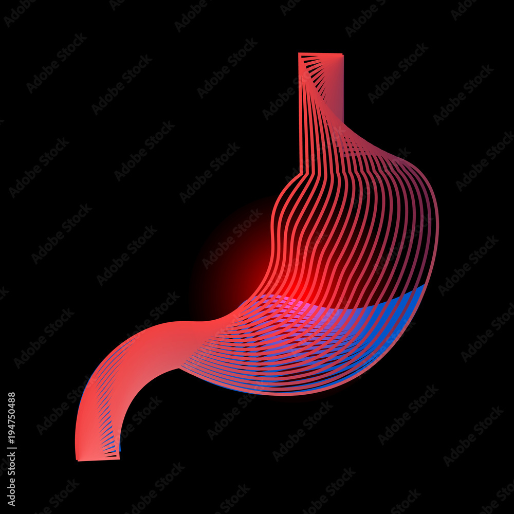 Stomach icon. Human internal organs symbol. Digestive system anatomy ...