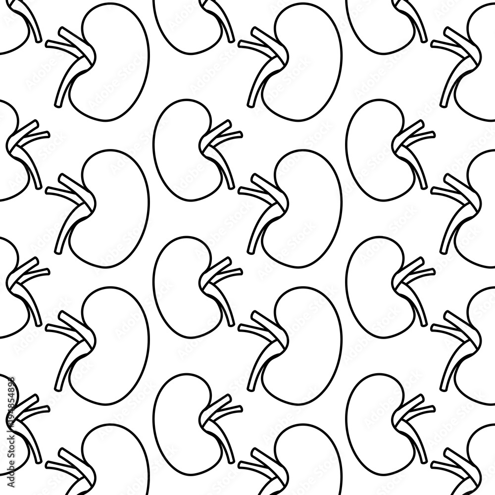 wallpaper with human kidney organs medical vector illustration Stock ...